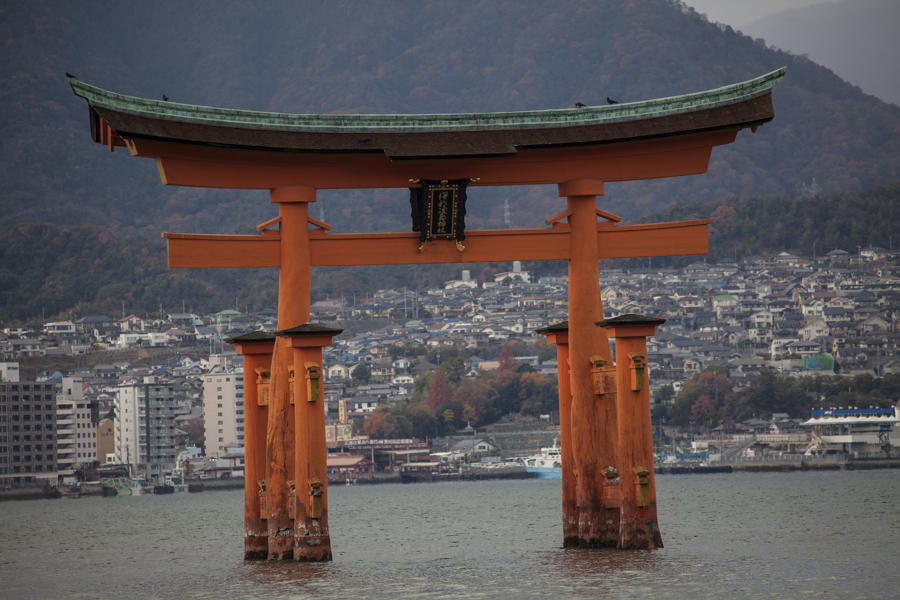 Floating Torii and Itsukushima Shrine (Miyajima) | johnliddlephotography